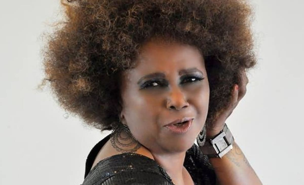 Sandra de Sá festeja 40 anos de carreira em show online | Notícias do ...
